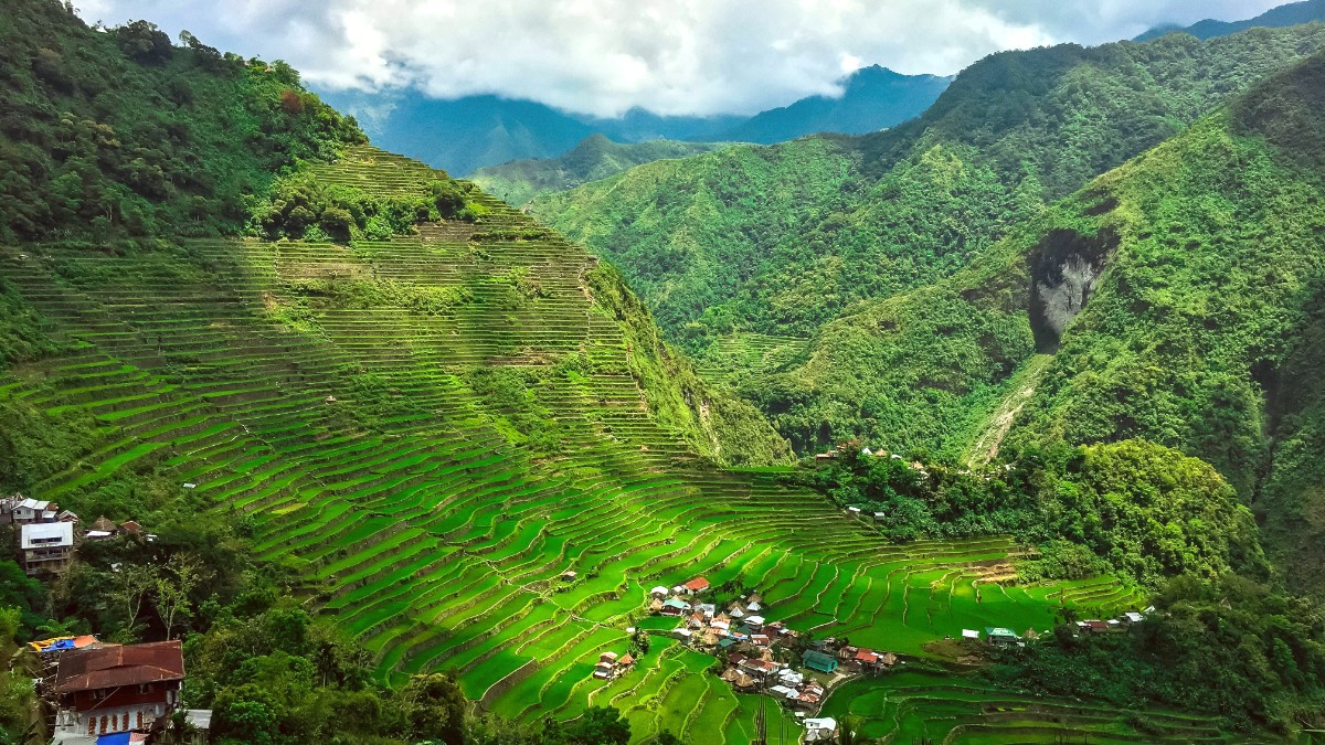Rice Terraces Of The Philippine Cordilleras Travel Guide - MileHacker